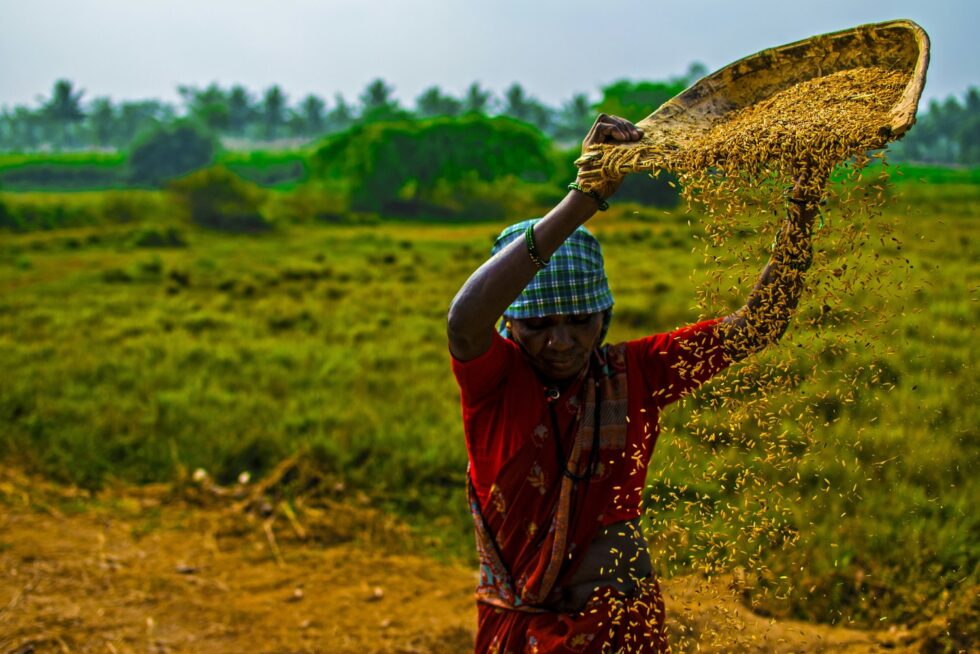 Sustainability | Botanix Industries